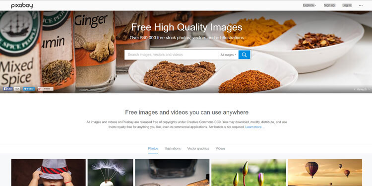 Download free images for your website | Popular free images | ThemeTidy